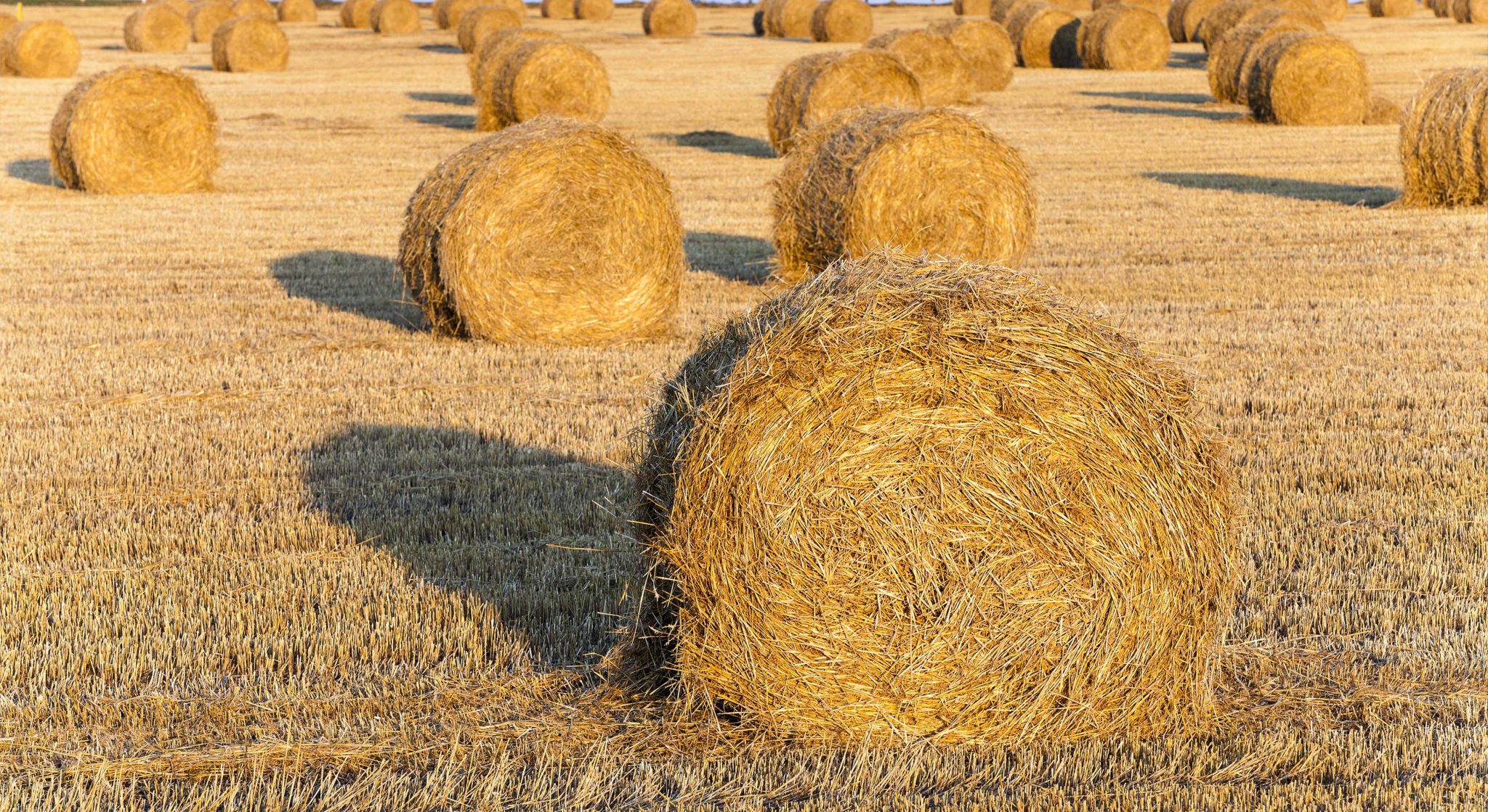 Big Blue Round Bale Twine - Agri Novatex Australia