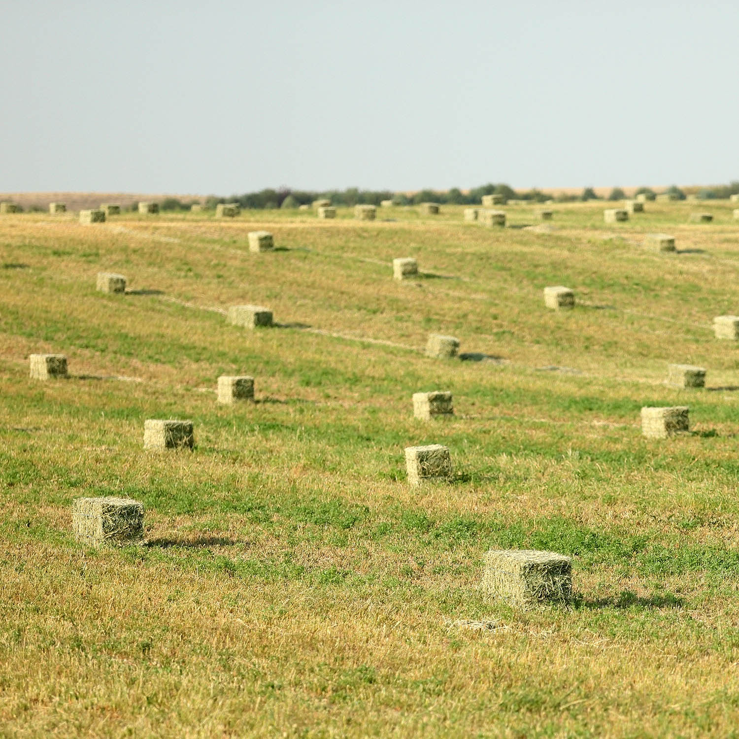 Ezy See Small Square Baling Twine - Agri Novatex Australia