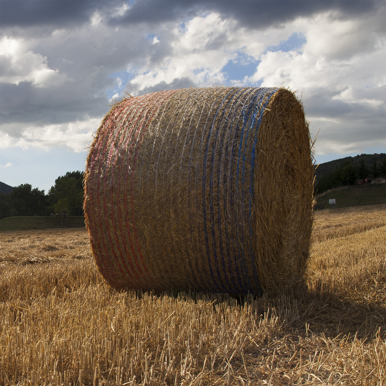 FORTE - High Performance Netwrap - Agri Novatex Australia