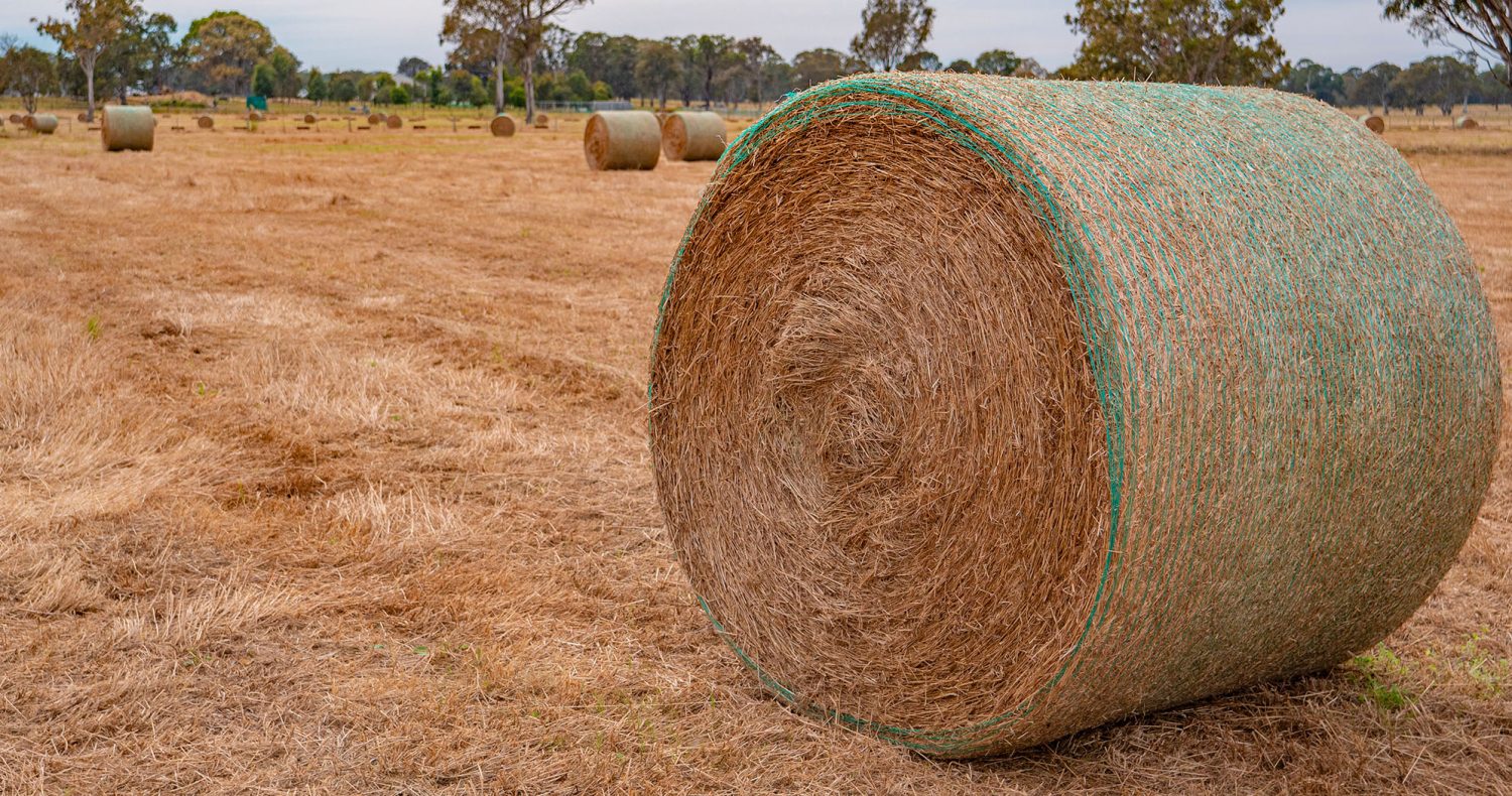 Net wrap Archives - Agri Novatex Australia