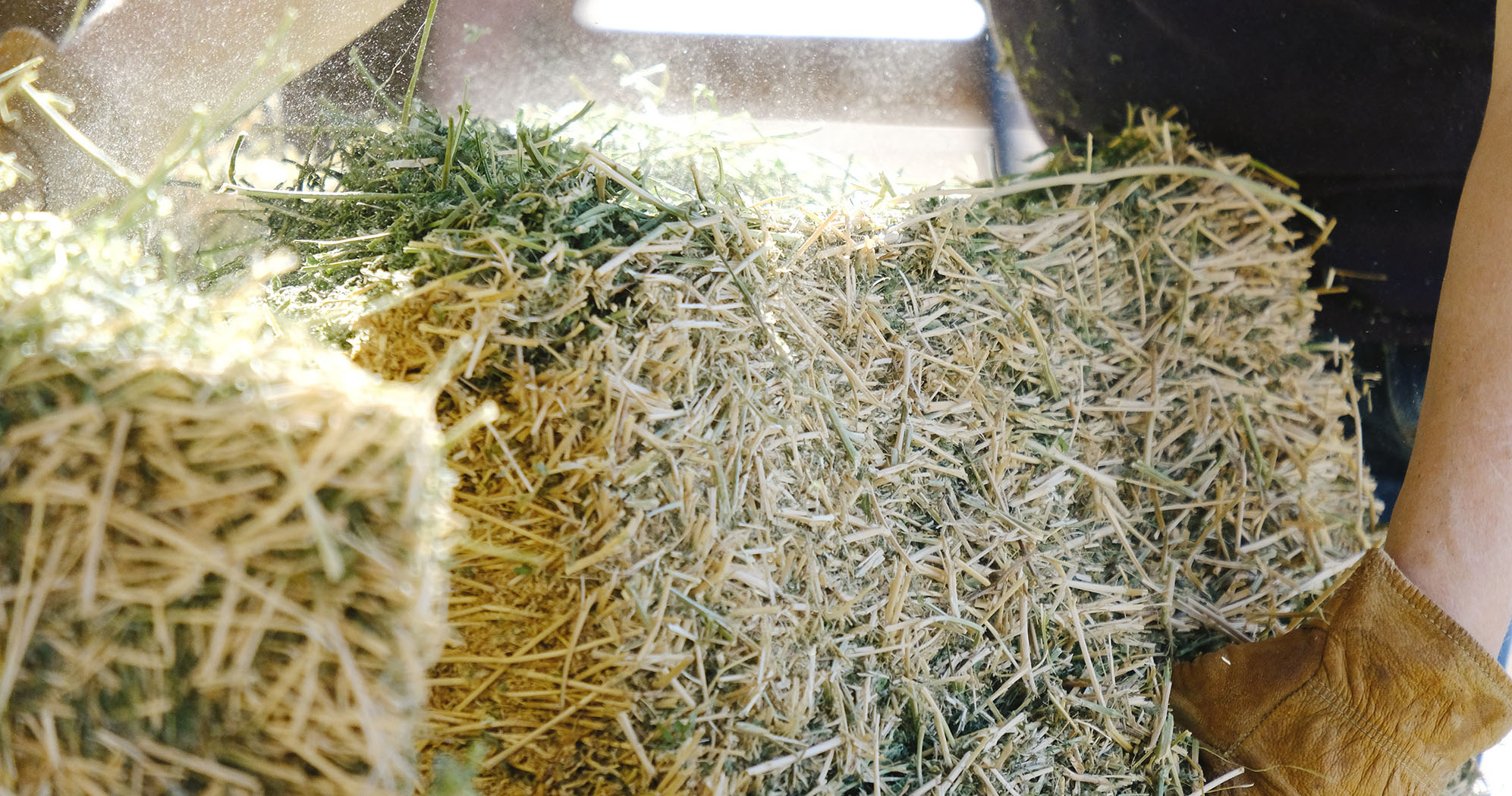 Don Bulky Fibre - Agri Novatex Australia