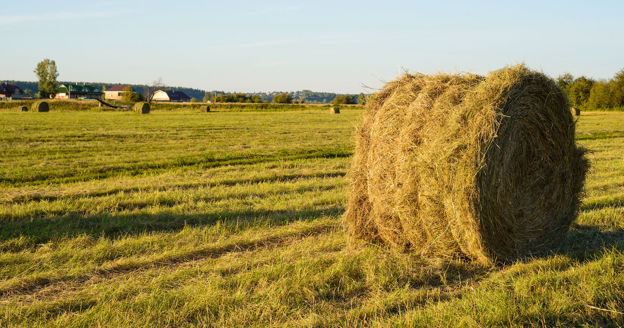 Big Blue Round Bale Twine - Agri Novatex Australia