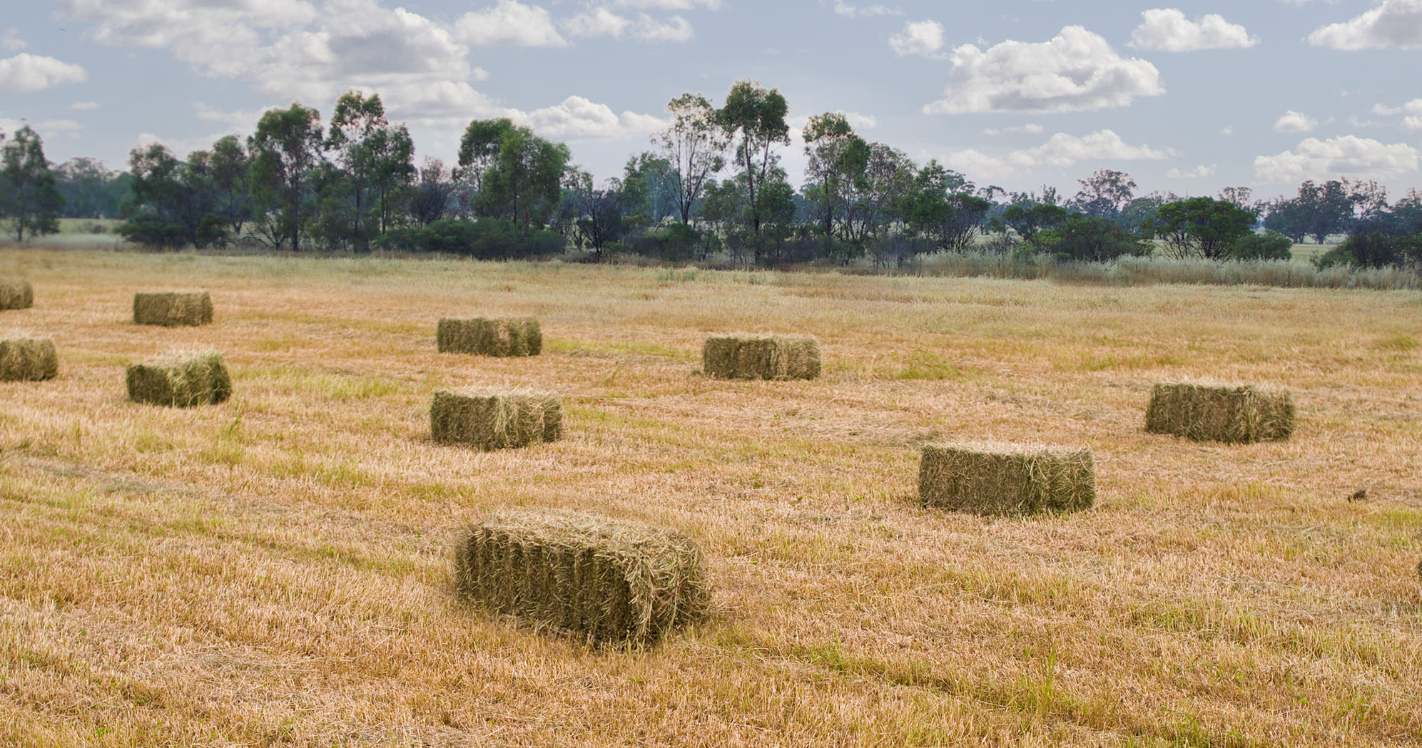 Ezy See Small Square Baling Twine - Agri Novatex Australia