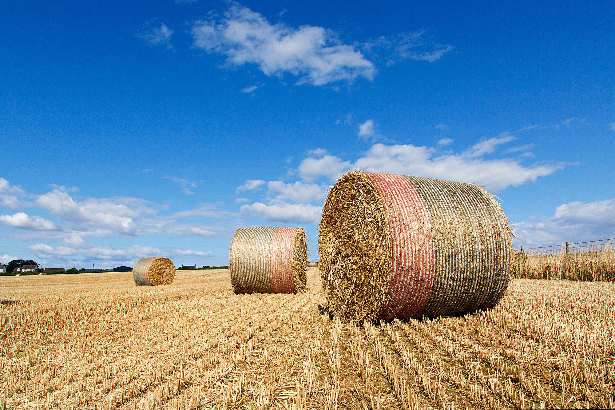 Butterfly - Innovative Netwrap Solution